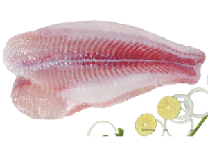 Products – CLPANGAFISH CORP